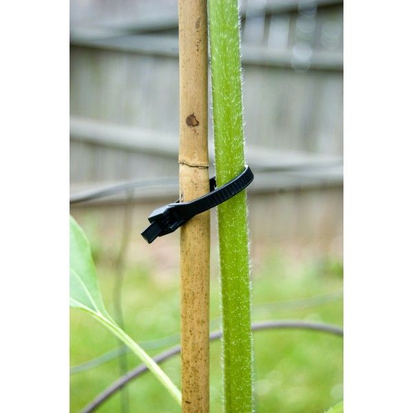 4' Bamboo Garden Stakes | Bamboo Sticks for Plants | Farm Plastic Supply