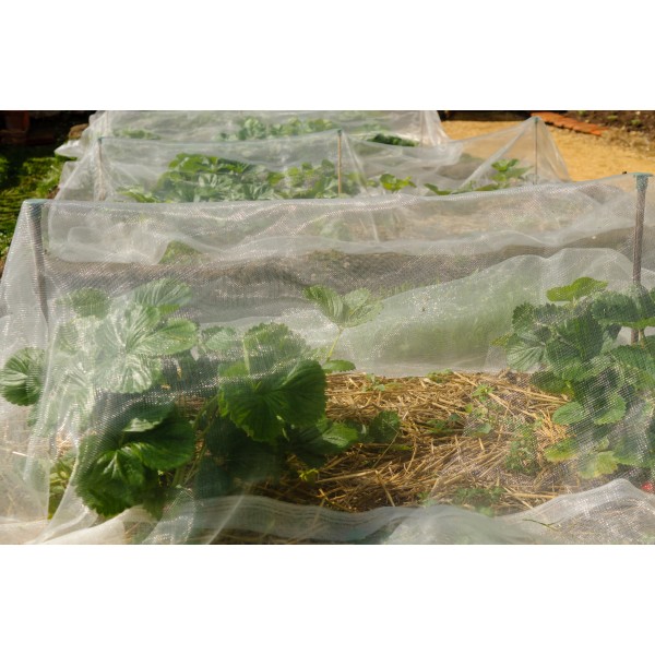 Gardening Insect Netting | Mesh Bug Netting Screen | Farm Plastic Supply