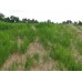 Straw Erosion Control Blanket | Rolled Erosion Control Nets | Farm ...