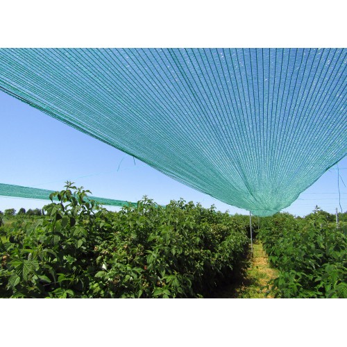Crop Saver Insect Net - 25' x 25' | Competitive Pricing | Fast Shipping