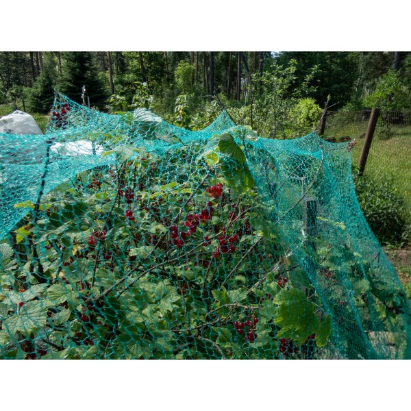 Crop Saver Insect Net - 25' x 25' | Competitive Pricing | Fast Shipping