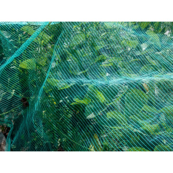 Crop Saver Insect Net - 25' x 25' | Competitive Pricing | Fast Shipping