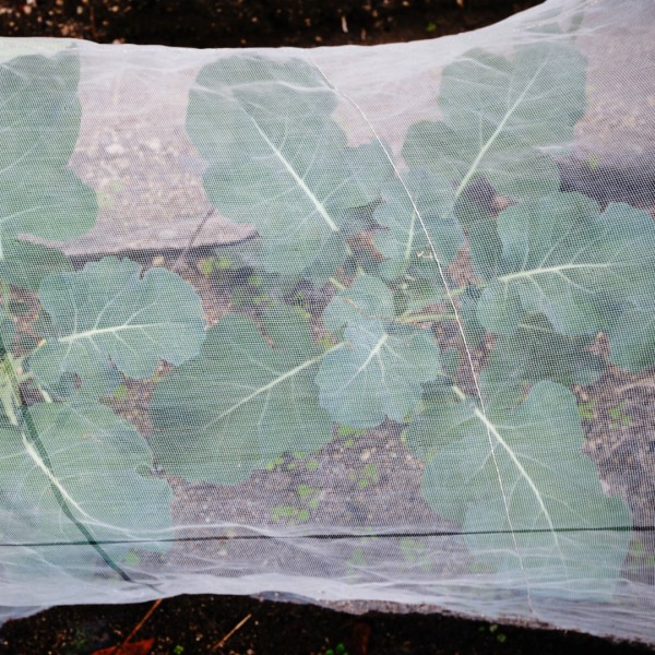 Gardening Insect Netting | Mesh Bug Netting Screen | Farm Plastic Supply