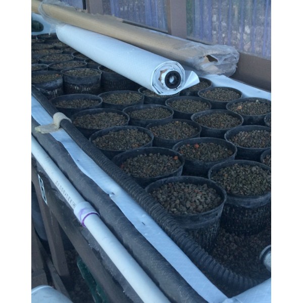 6 mil Black/White Dura-Skrim String Reinforced Plastic Sheeting | Farm ...