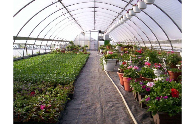 Farm, Construction & Greenhouse Plastic Sheeting | Farm Plastic Supply