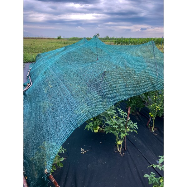 Green 65% Shade Cloth | Sun Shade Mesh Plant Netting | Farm Plastic Supply