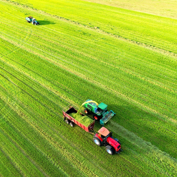 Feed Fresh Silage Tarp 7 Mil | Oxygen Barrier Silage Cover | Farm ...